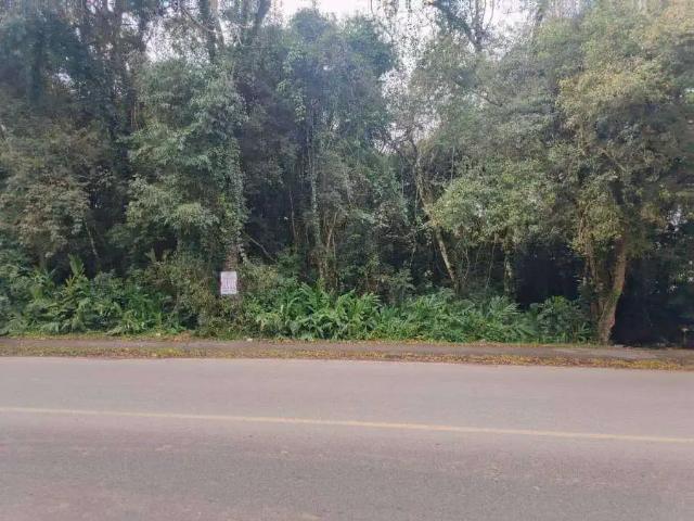 Terreno comercial para Venda em São José dos Pinhais/PR Costeira
