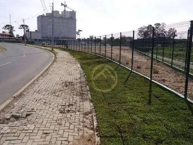 Terreno comercial para Venda em São José dos Pinhais/PR Cruzeiro