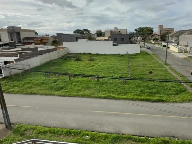 Terreno comercial para Venda em São José dos Pinhais/PR Cruzeiro