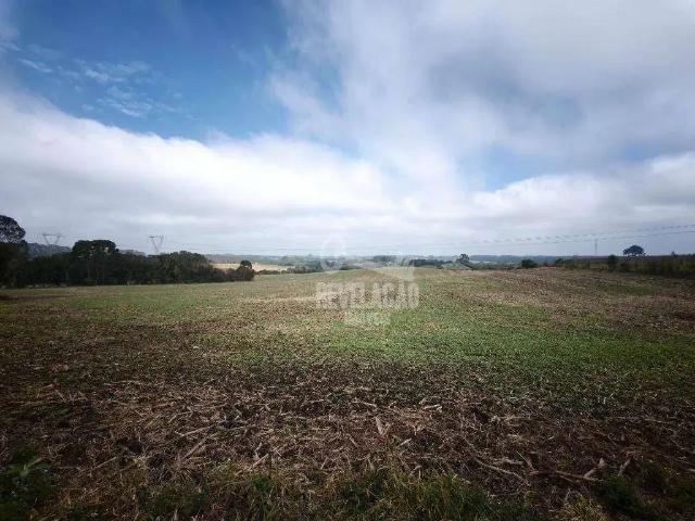 Terreno comercial para Venda em São José dos Pinhais/PR Miringuava