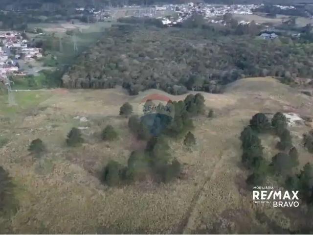 Terreno comercial para Venda em São José dos Pinhais/PR Roseira de São Sebastião