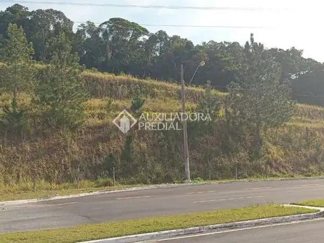 Terreno comercial para Venda em São José/SC Sertão do Maruim