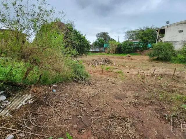 Terreno comercial para Venda em São Leopoldo/RS Arroio da Manteiga