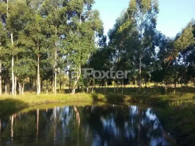 Terreno comercial para Venda em São Leopoldo/RS Feitoria