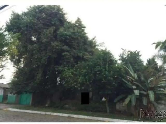Terreno comercial para Venda em São Leopoldo/RS Feitoria