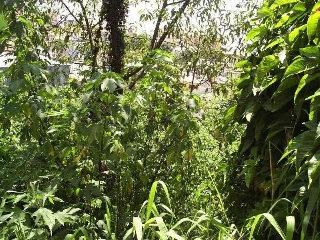 Terreno comercial para Venda em São Paulo/SP Morumbi