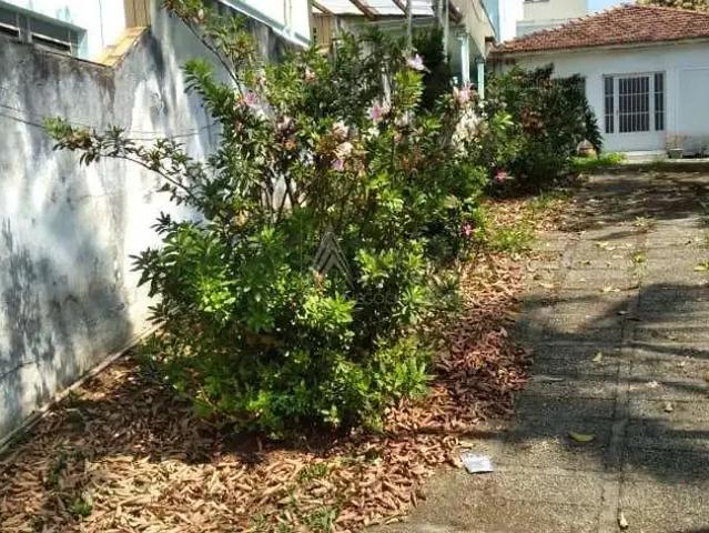 Terreno comercial para Venda em São Paulo/SP Vila do Bosque