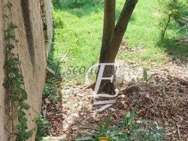 Terreno comercial para Venda em São Paulo/SP Vila Nova Mazzei