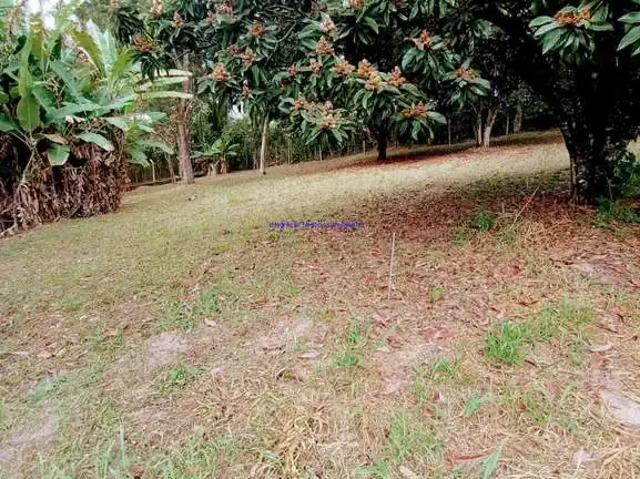 Terreno comercial para Venda em São Roque/SP Centro