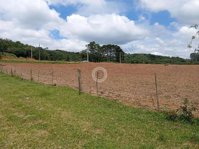 Terreno comercial para Venda em São Roque/SP Centro
