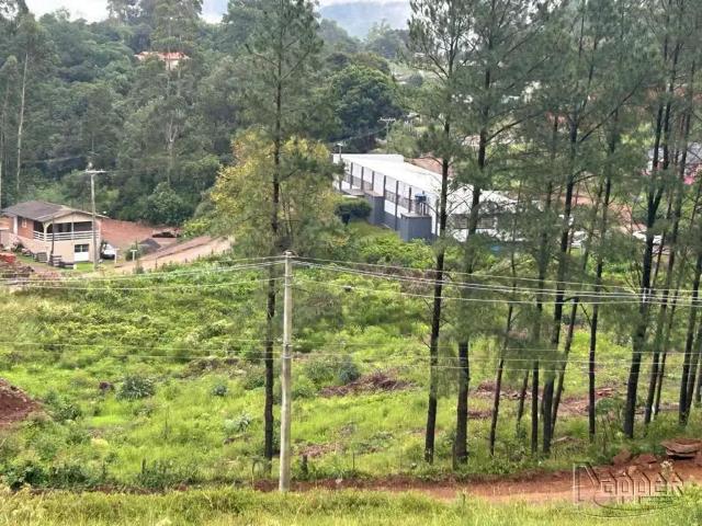 Terreno comercial para Venda em Santa Maria do Herval/RS Padre Eterno Seges