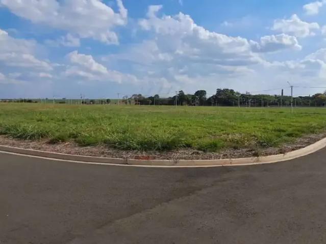 Terreno comercial para Venda em Santa Bárbara D'Oeste/SP Jardim dos Cedros