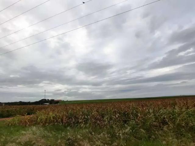 Terreno comercial para Venda em Santa Bárbara D'Oeste/SP Santo Antonio Sapezeiro