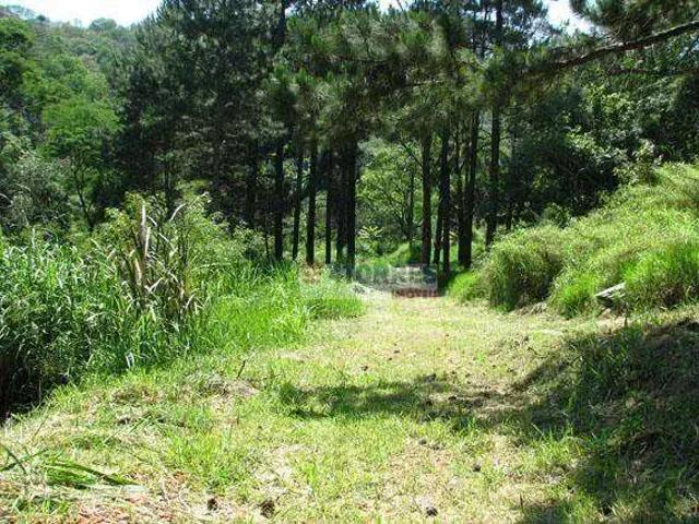 Terreno comercial para Venda em Santana de Parnaíba/SP Cururuquara