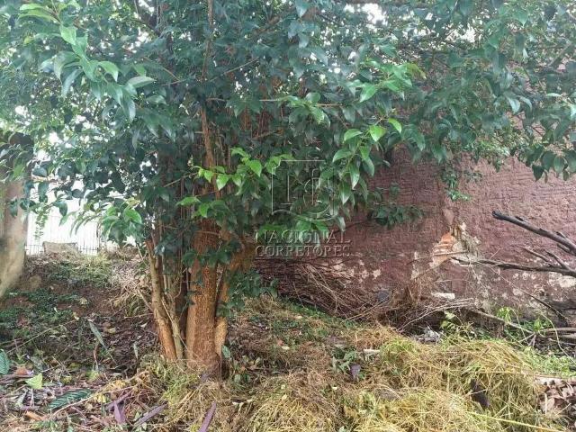 Terreno comercial para Venda em Santo André/SP Jardim das Maravilhas 3 Quartos