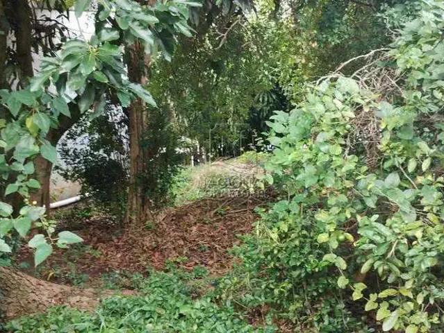 Terreno comercial para Venda em Santo André/SP Vila Lucinda
