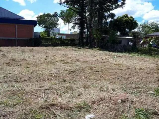 Terreno comercial para Venda em Sapiranga/RS Centro