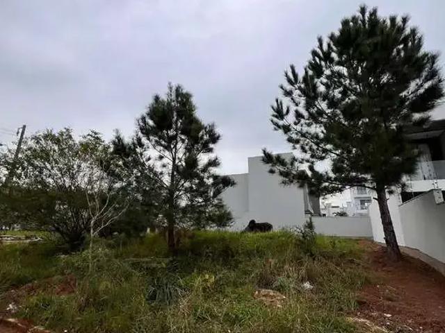 Terreno comercial para Venda em Sapiranga/RS São Jacó