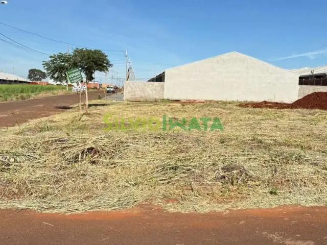 Terreno comercial para Venda em Sarandi/PR Jardim Gralha Azul
