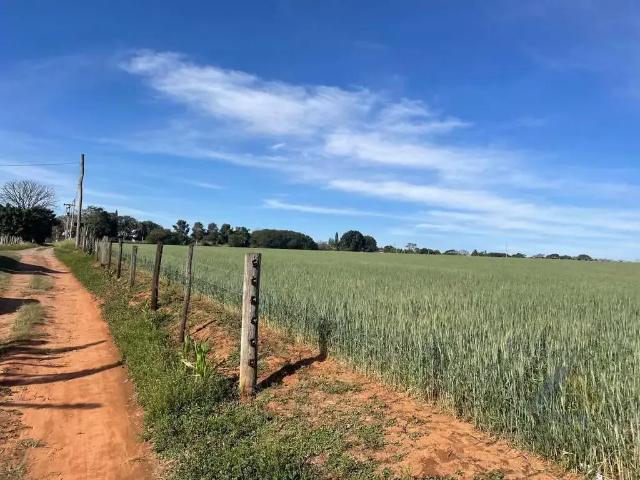 Terreno comercial para Venda em Tietê/SP Zona Rural