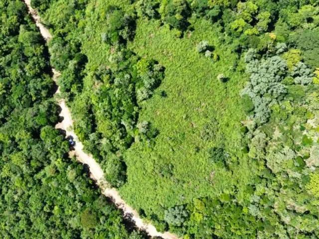 Terreno comercial para Venda em Tijucas do Sul/PR Matulão
