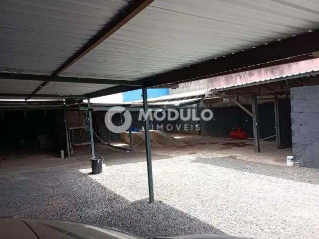 Terreno comercial para Venda em Uberlândia/MG Tibery
