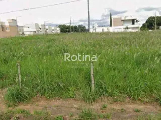 Terreno comercial para Venda em Uberlândia/MG Vigilato Pereira