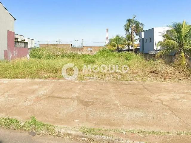 Terreno comercial para Venda em Uberlândia/MG Vigilato Pereira