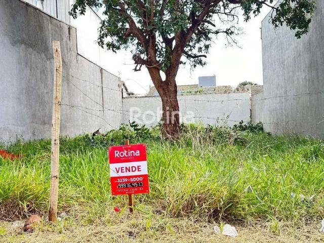 Terreno comercial para Venda em Uberlândia/MG Aclimação