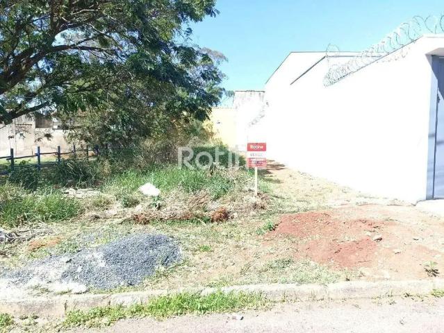 Terreno comercial para Venda em Uberlândia/MG Alto Umuarama