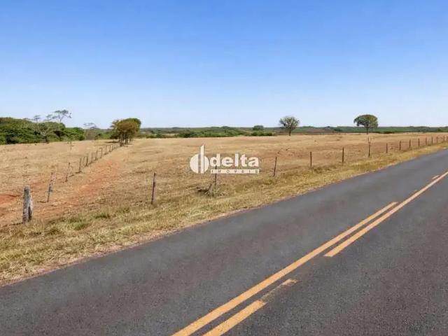Terreno comercial para Venda em Uberlândia/MG Área Rural de Uberlândia