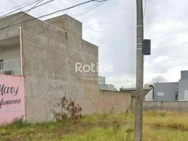 Terreno comercial para Venda em Uberlândia/MG Bosque dos Buritis