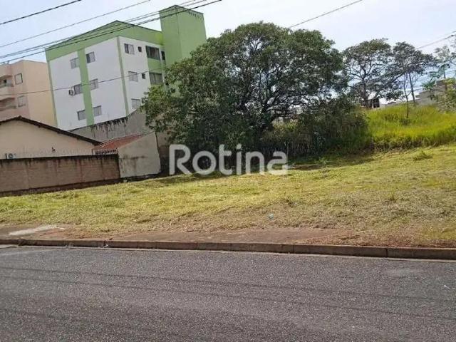 Terreno comercial para Venda em Uberlândia/MG Bosque dos Buritis