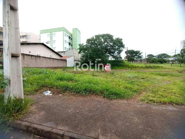 Terreno comercial para Venda em Uberlândia/MG Bosque dos Buritis