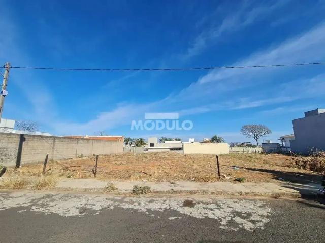 Terreno comercial para Venda em Uberlândia/MG Bosque dos Buritis