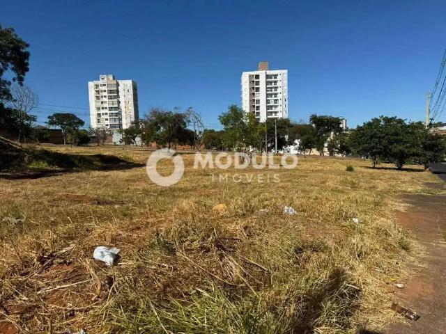 Terreno comercial para Venda em Uberlândia/MG Bosque dos Buritis