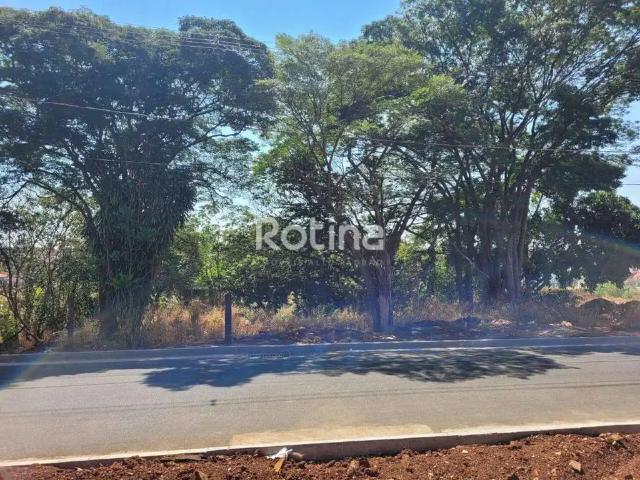 Terreno comercial para Venda em Uberlândia/MG Chácaras Tubalina e Quartel