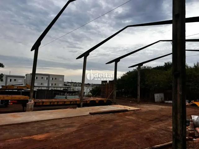 Terreno comercial para Venda em Uberlândia/MG Chácaras Tubalina e Quartel