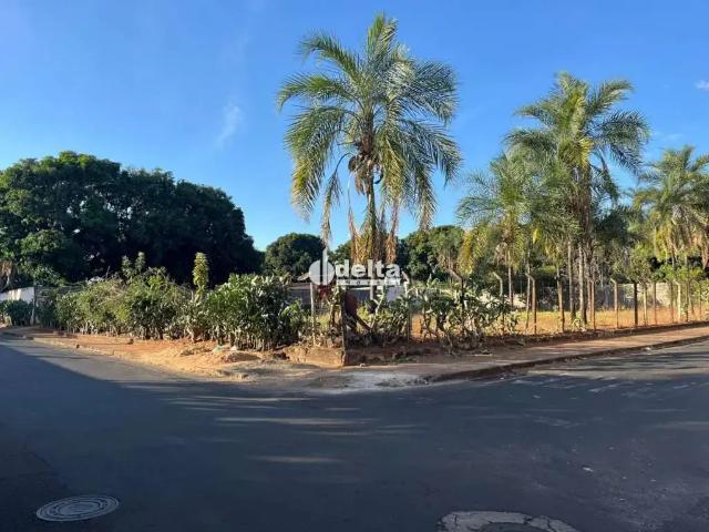 Terreno comercial para Venda em Uberlândia/MG Chácaras Tubalina e Quartel