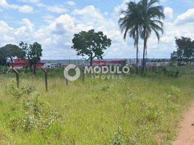 Terreno comercial para Venda em Uberlândia/MG Chácaras Uirapuru