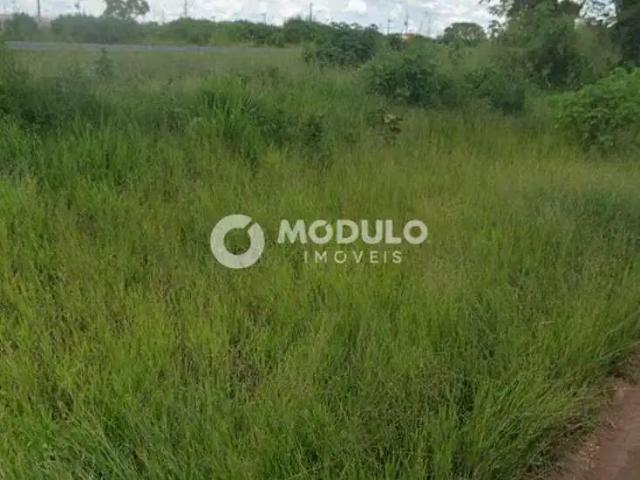 Terreno comercial para Venda em Uberlândia/MG Chácaras Uirapuru