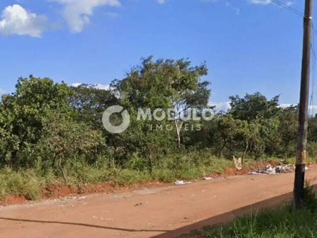Terreno comercial para Venda em Uberlândia/MG Chácaras Uirapuru