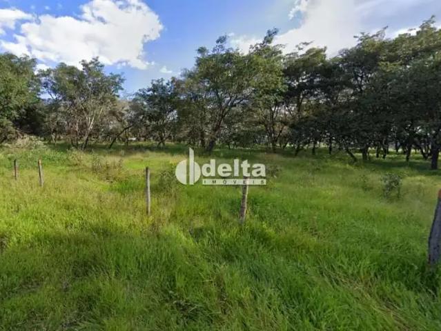 Terreno comercial para Venda em Uberlândia/MG Chácaras Uirapuru