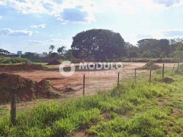 Terreno comercial para Venda em Uberlândia/MG Chácaras Uirapuru