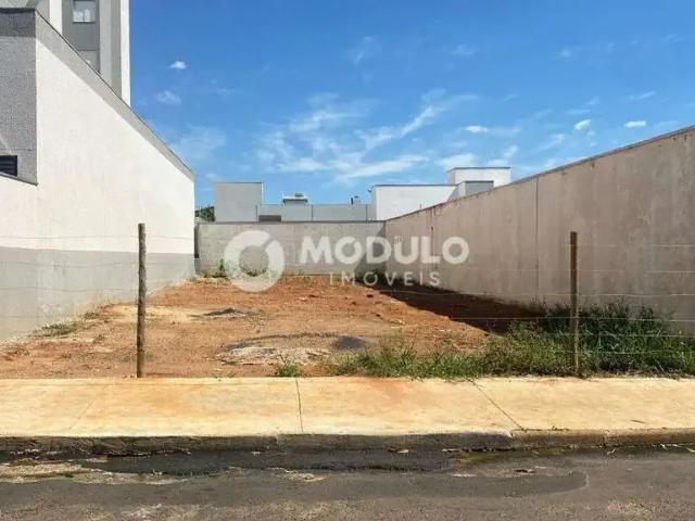 Terreno comercial para Venda em Uberlândia/MG Conjunto Segismundo Pereira