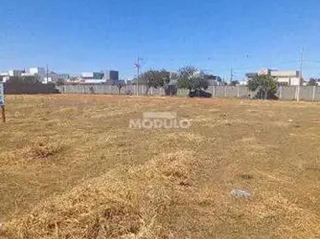 Terreno comercial para Venda em Uberlândia/MG Conjunto Segismundo Pereira