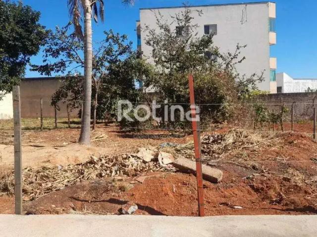 Terreno comercial para Venda em Uberlândia/MG Conjunto Segismundo Pereira