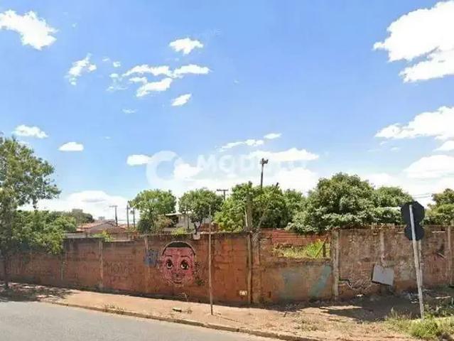 Terreno comercial para Venda em Uberlândia/MG Conjunto Segismundo Pereira