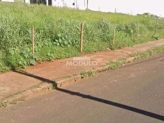 Terreno comercial para Venda em Uberlândia/MG Dona Zulmira