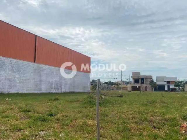 Terreno comercial para Venda em Uberlândia/MG Grand Ville
